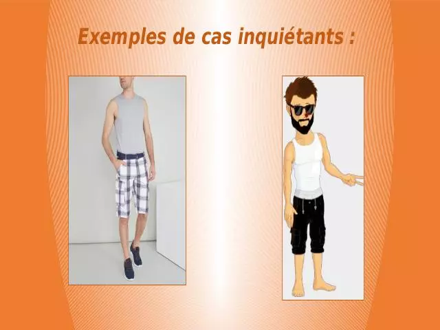 De l’art de bien se vêtir.pptx - Fichier PPS